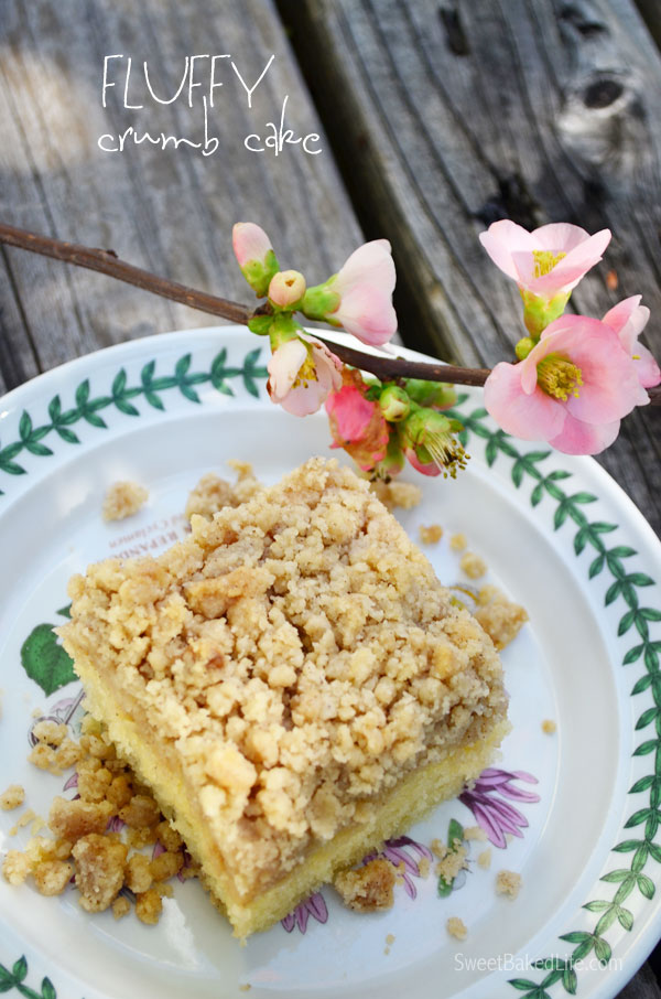 Fluffy Crumb Cake – Sweet Baked Life